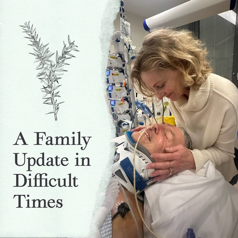 September 2025: A Family Update in Difficult Times - Smitten Merino